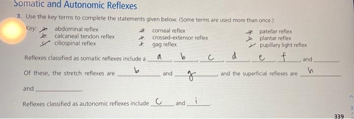 Solved Somatic and Autonomic Reflexes 3. Use the key terms | Chegg.com