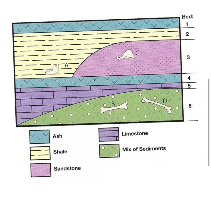 Ash Limestone Shale Mix of Sediments Sandstone1. List | Chegg.com