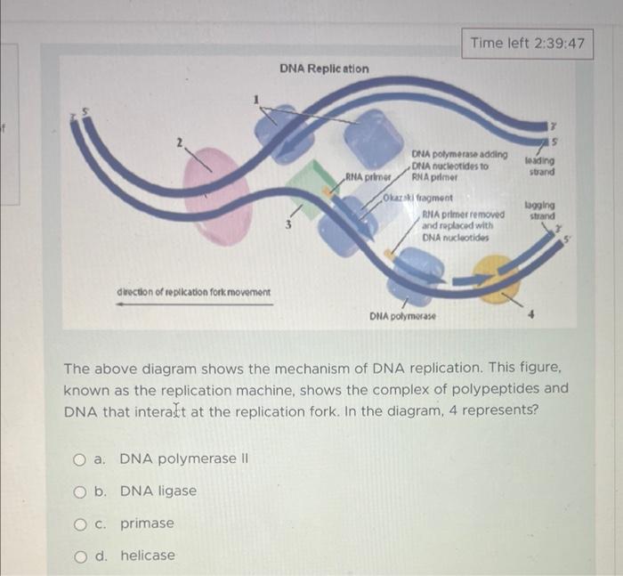 Solved The above diagram shows the mechanism of DNA | Chegg.com