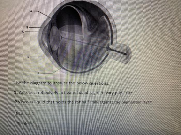 Solved Use the diagram to answer the below questions: 1. | Chegg.com