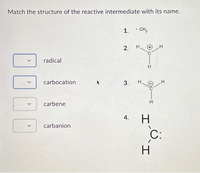 Solved Match the structure of the reactive intermediate with | Chegg.com