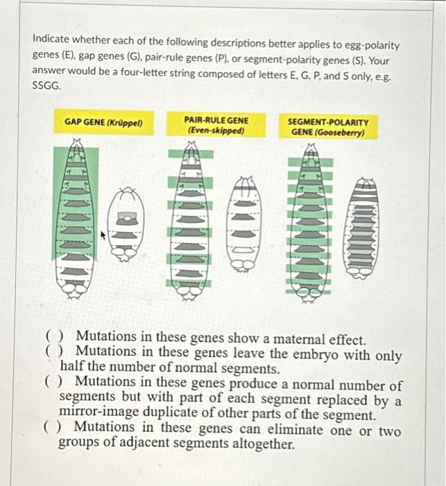 Solved Indicate whether each of the following descriptions | Chegg.com