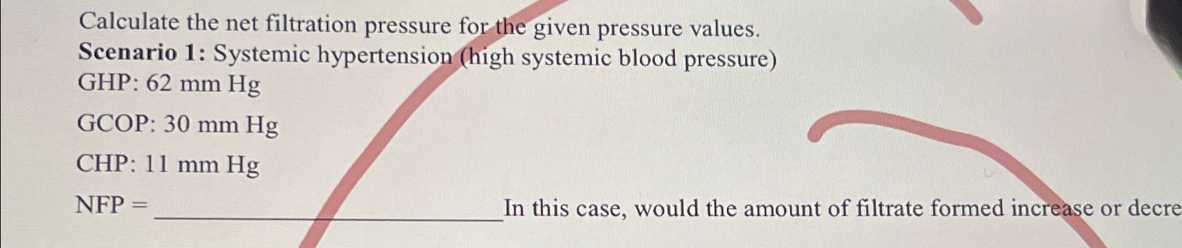 Solved Calculate the net filtration pressure for the given | Chegg.com