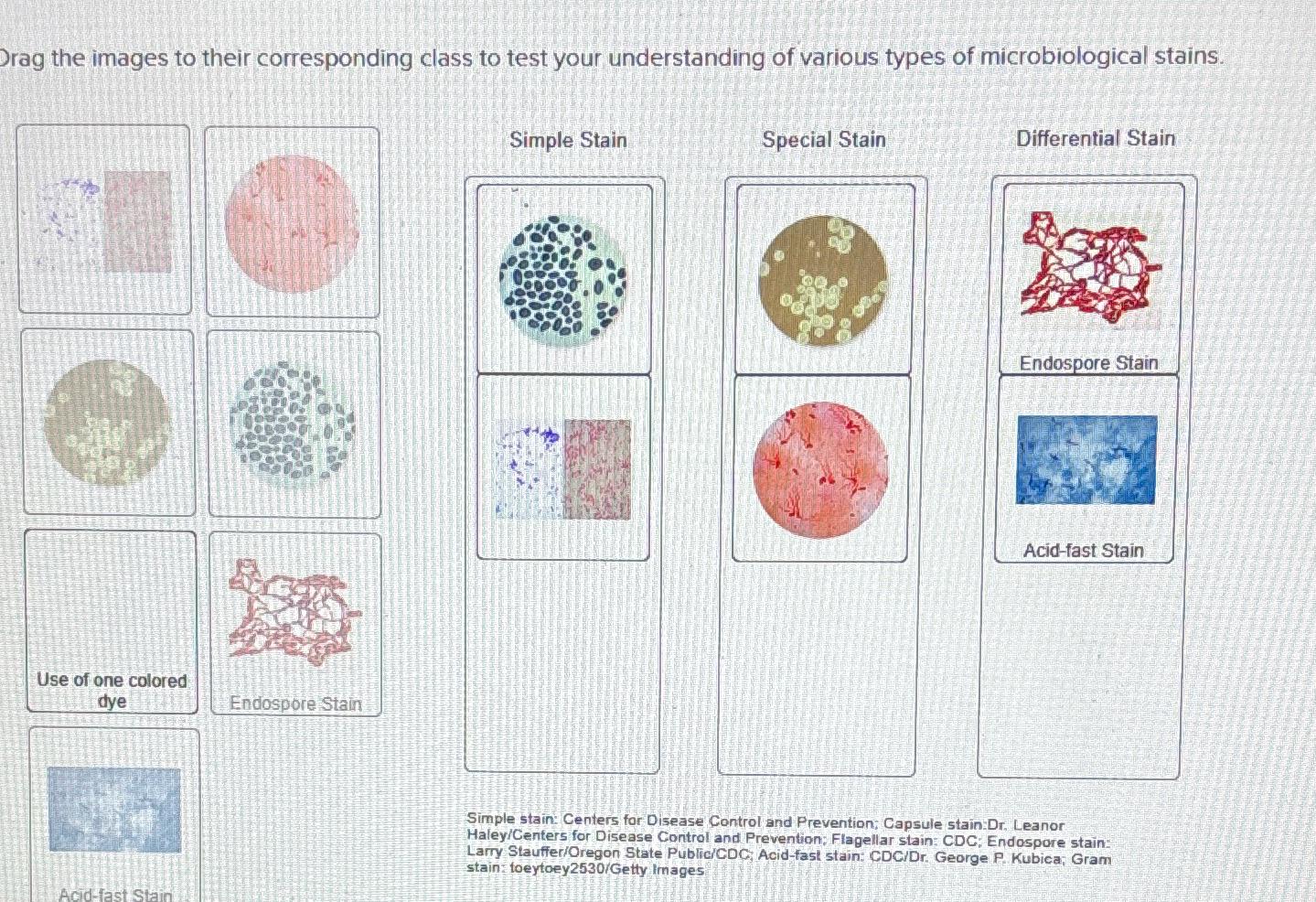 Solved Drag the images to their corresponding class to test | Chegg.com