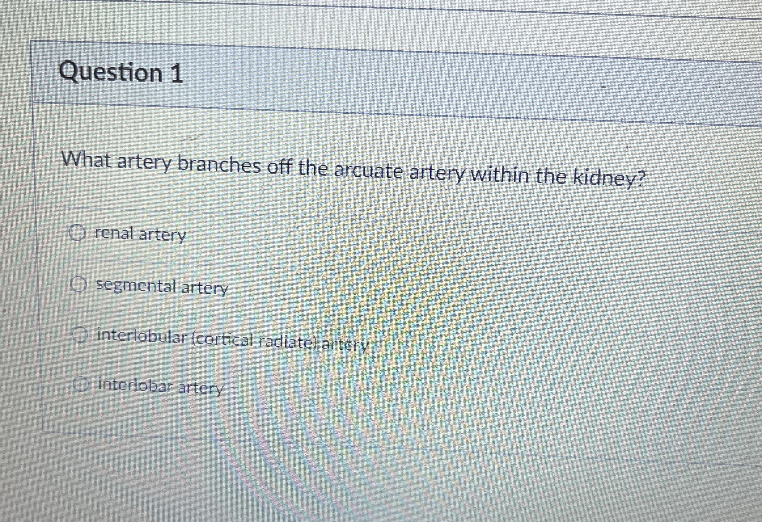 Solved Question 1What artery branches off the arcuate artery | Chegg.com