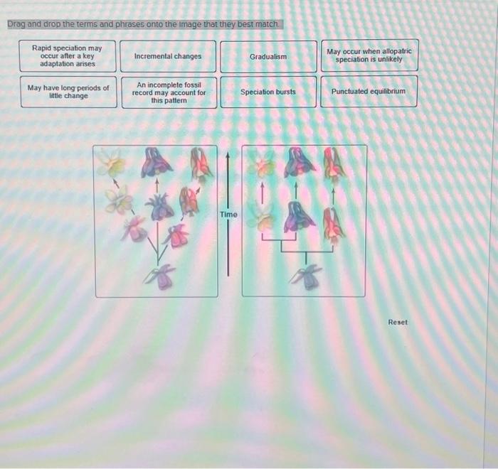 Solved Drag and drop the terms and phrases onto the image | Chegg.com