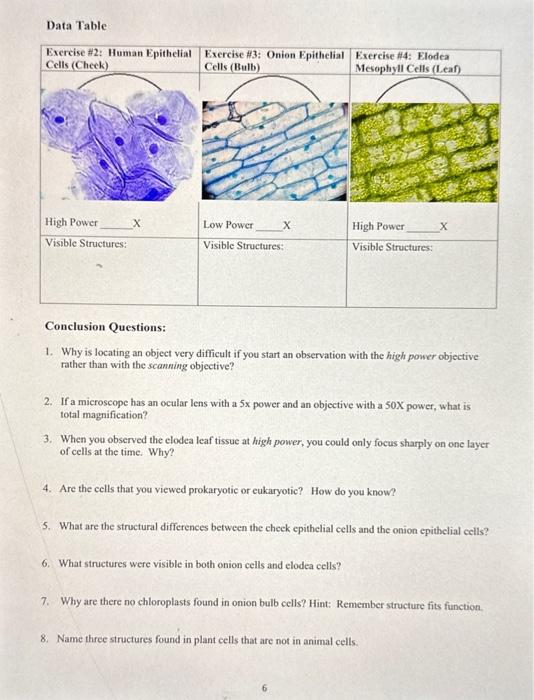 Solved Data Table Exercise \# Colls ifhe High Powe Visible | Chegg.com
