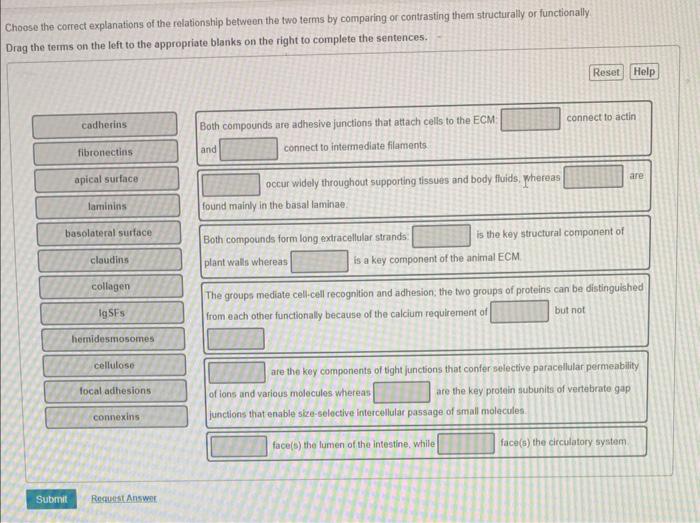 Solved Choose the correct explanations of the relationship | Chegg.com