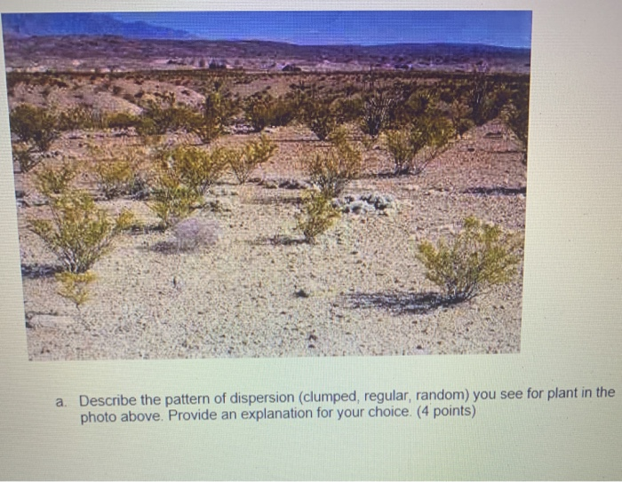 Solved a. Describe the pattern of dispersion (clumped, | Chegg.com