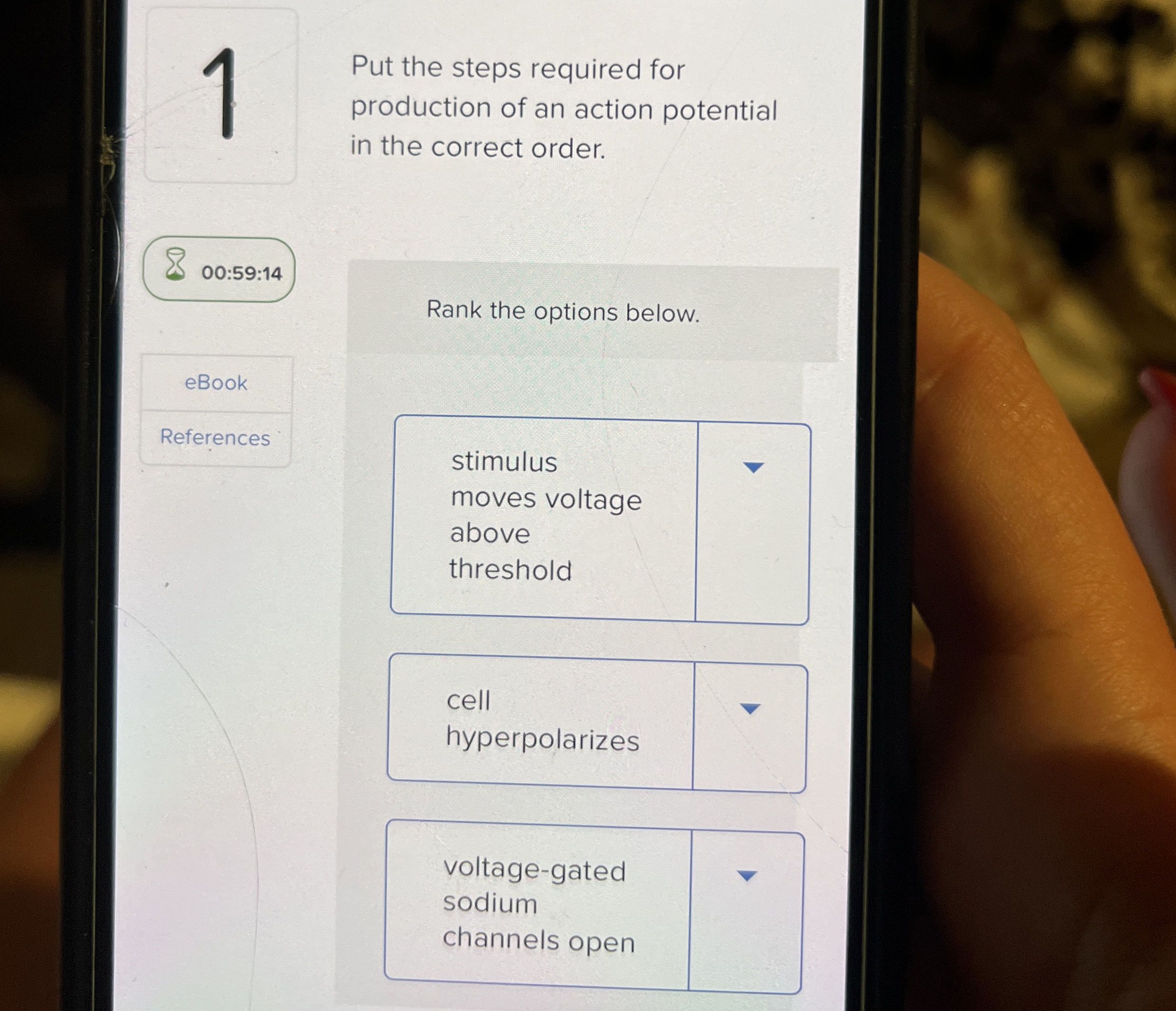 Solved Put the steps required forproduction of an action | Chegg.com