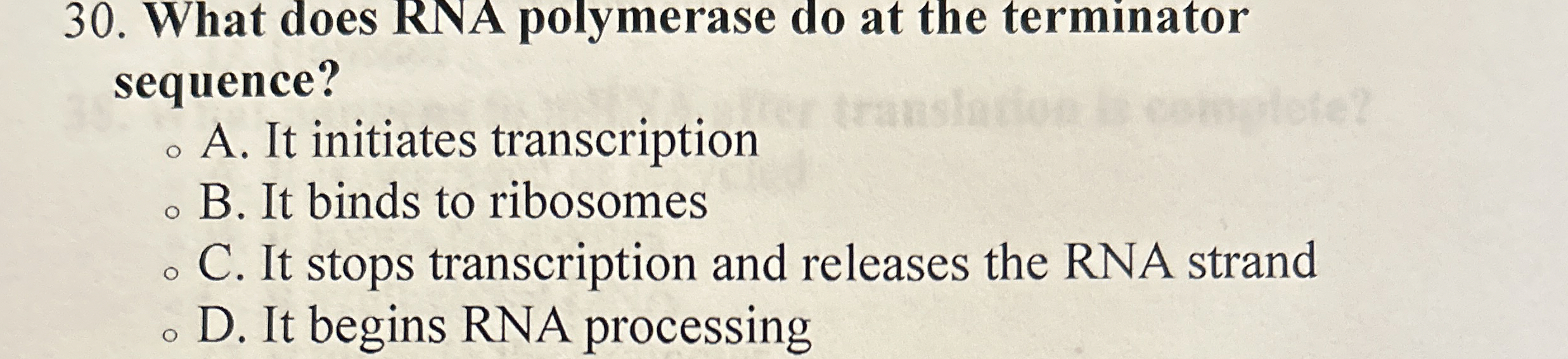 Solved What does RNA polymerase do at the | Chegg.com