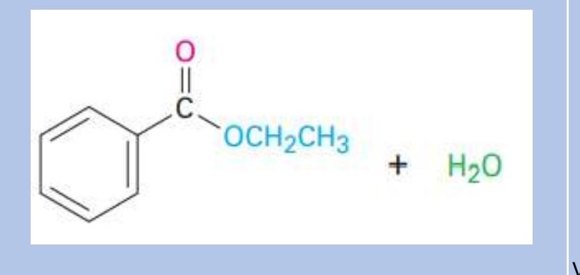 Solved O= C OCH2CH3 + H20 | Chegg.com
