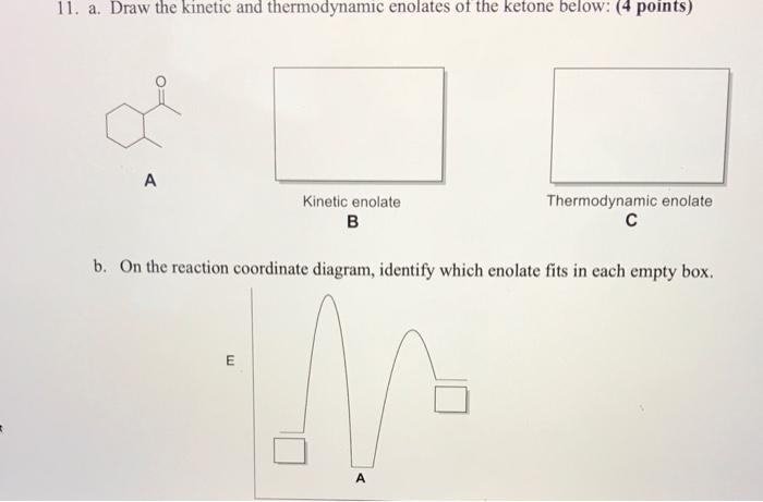 Solved 11. a. Draw the kinetic and thermodynamic enolates of | Chegg.com