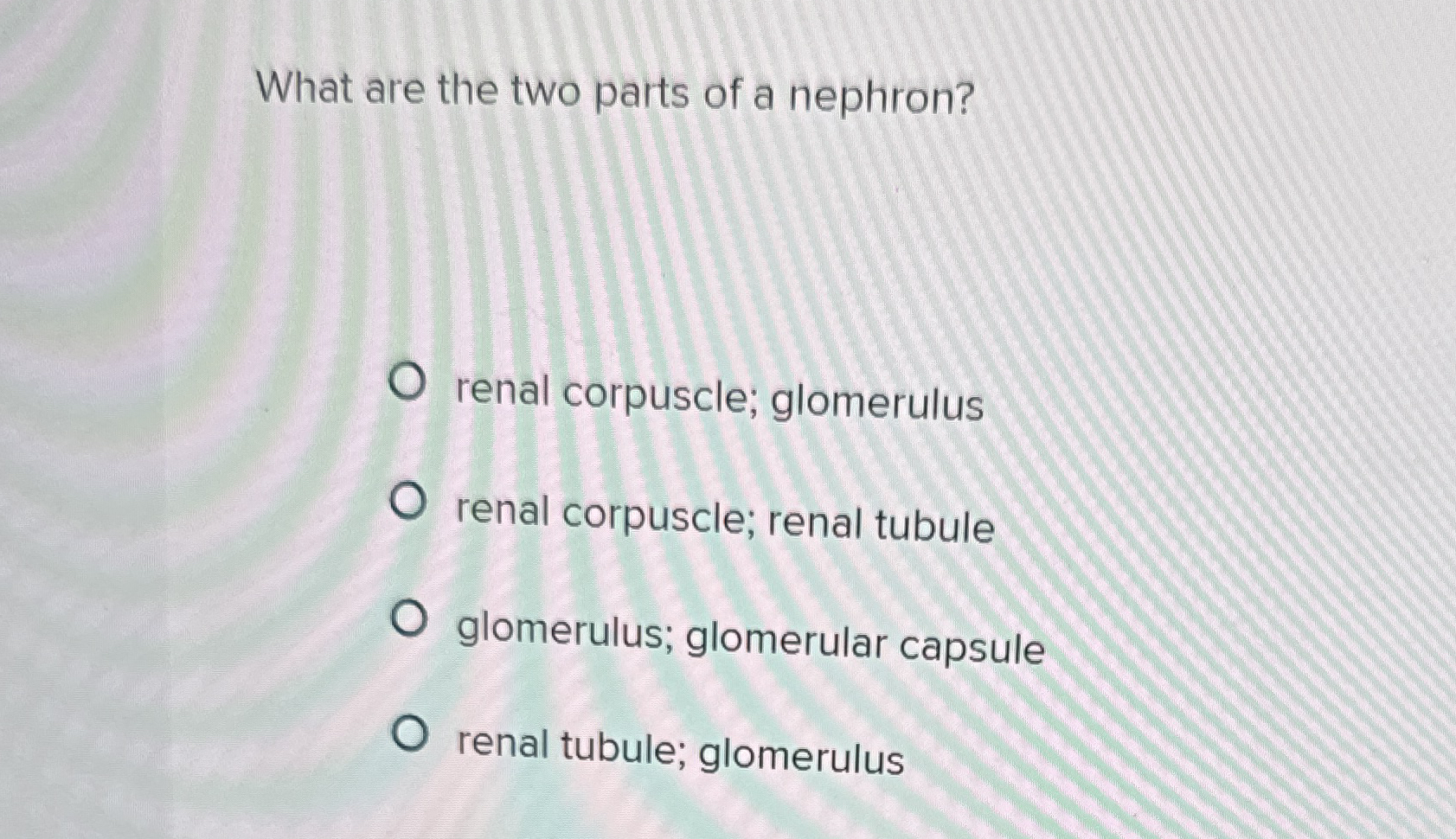 High Quality SOLUTION What are the two parts of a nephron?renal corpuscle; | Chegg.com
