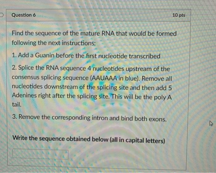 Solved The following eukaryotic DNA sequence is a made up | Chegg.com