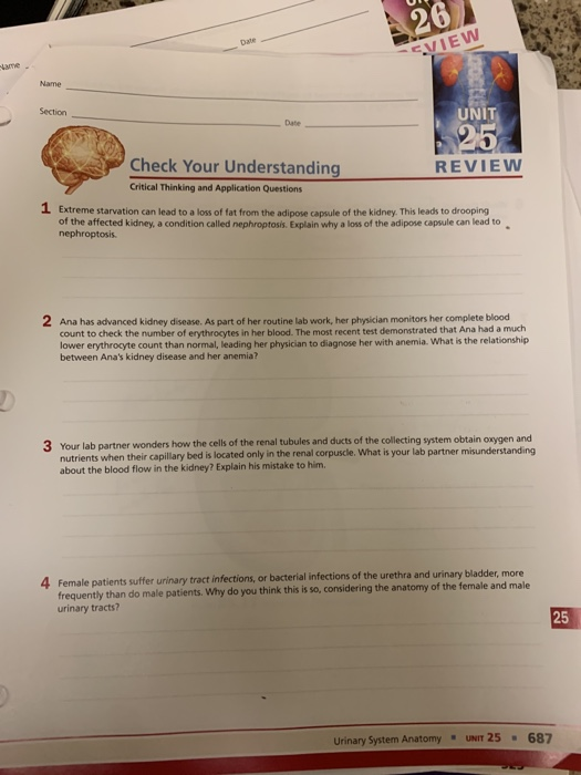 Solved CVIEW Name Name Section UNIT Date Check Your | Chegg.com