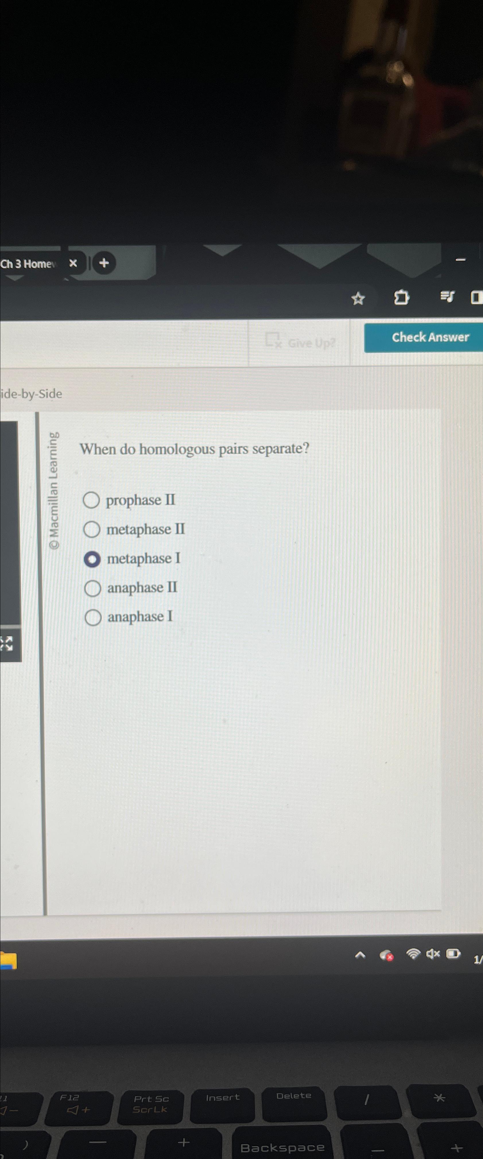 Solved Ch 3 ﻿Homeide-by-SideWhen do homologous pairs | Chegg.com