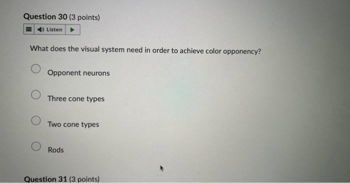 Solved What does the visual system need in order to achieve | Chegg.com