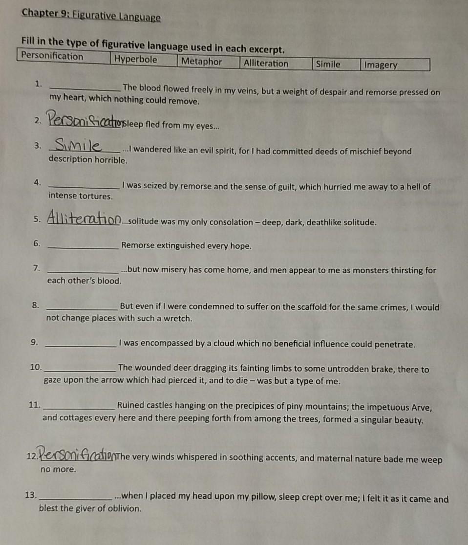 Solved Chapter 9: Figurative language Fill in the type of | Chegg.com