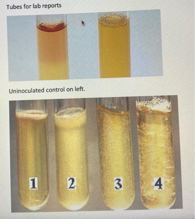 I was present and performed this exercise initials) | Chegg.com