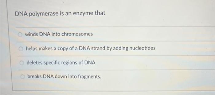 [Solved]: DNA polymerase is an enzyme that winds DNA into c