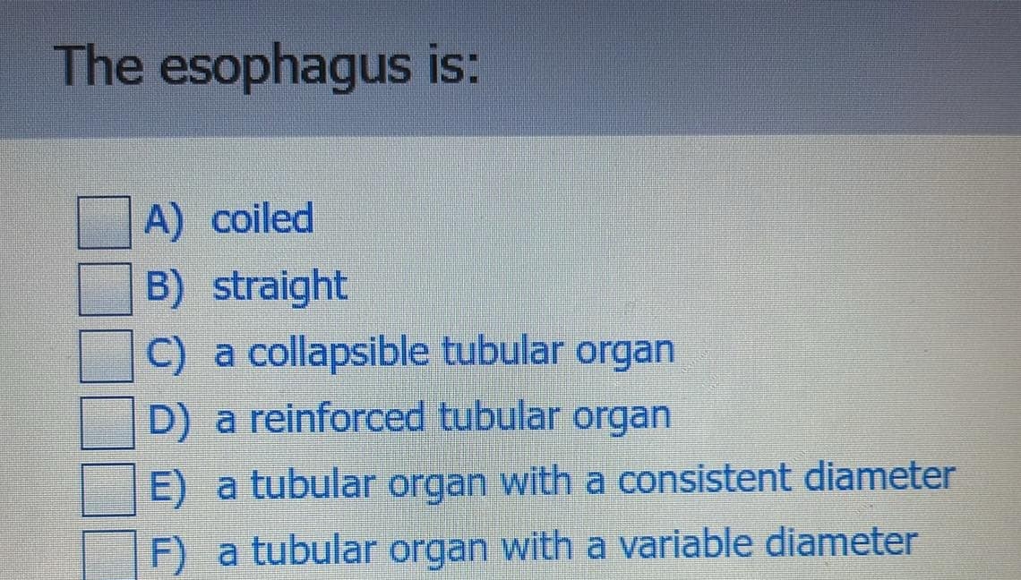 Solved The esophagus is:A) ﻿coiledB) ﻿straightC) ﻿a | Chegg.com