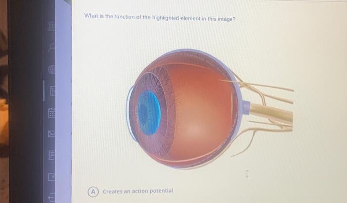 Solved What is the function of the highlighted element in | Chegg.com