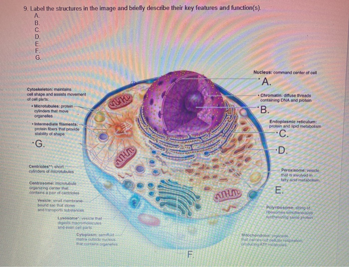 Solved 5. Agar is an excellent solidifying agent for | Chegg.com