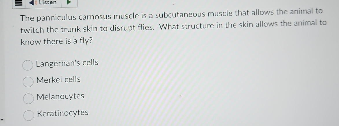 Solved ListenThe panniculus carnosus muscle is a | Chegg.com