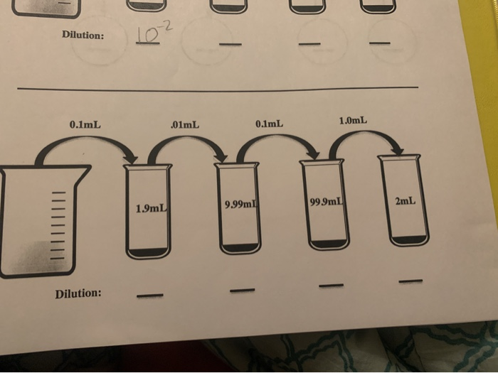 Solved Dilution: 0.1mL .01mL 1.0mL ชา 99.9ml 19.99m 2mL 1.9m | Chegg.com