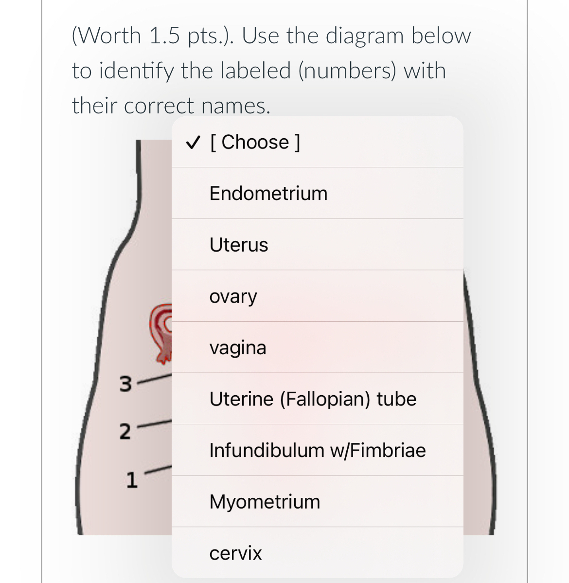 Solved (Worth 1.5 ﻿pts.). ﻿Use the diagram below to identify | Chegg.com
