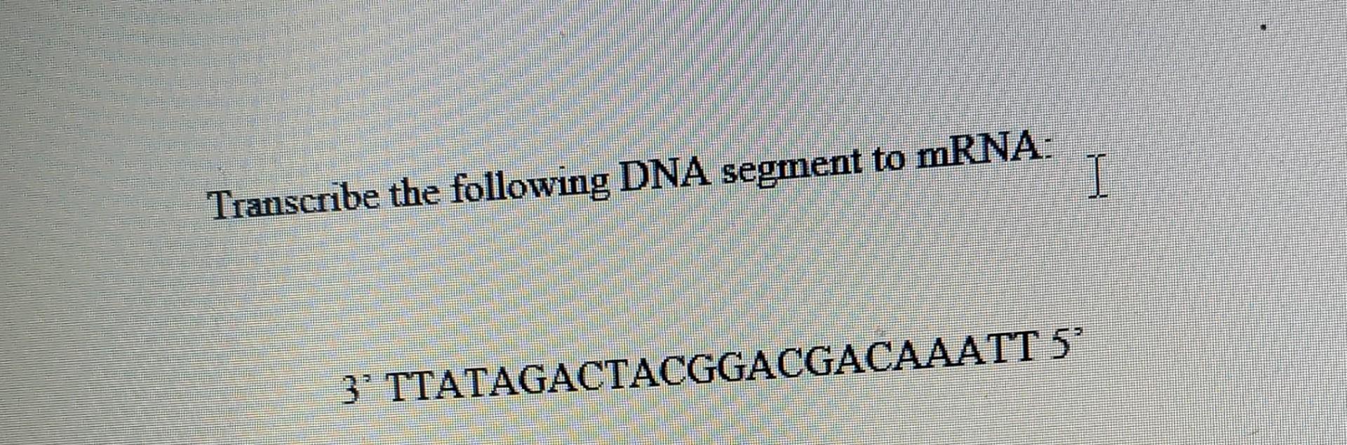 Solved I Transcribe the following DNA segment to mRNA: 3' | Chegg.com