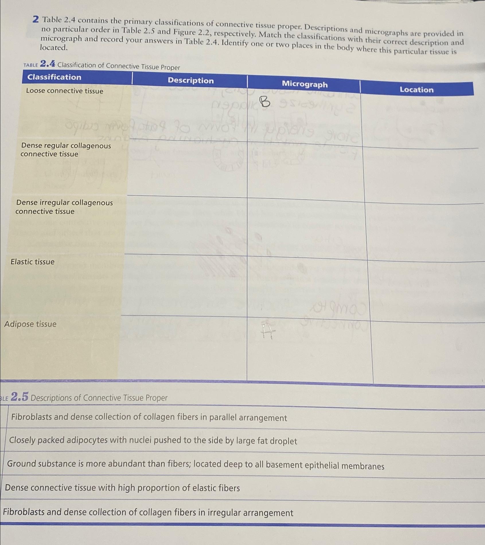 Solved 2 ﻿Table 2.4 ﻿contains the primary classifications of | Chegg.com