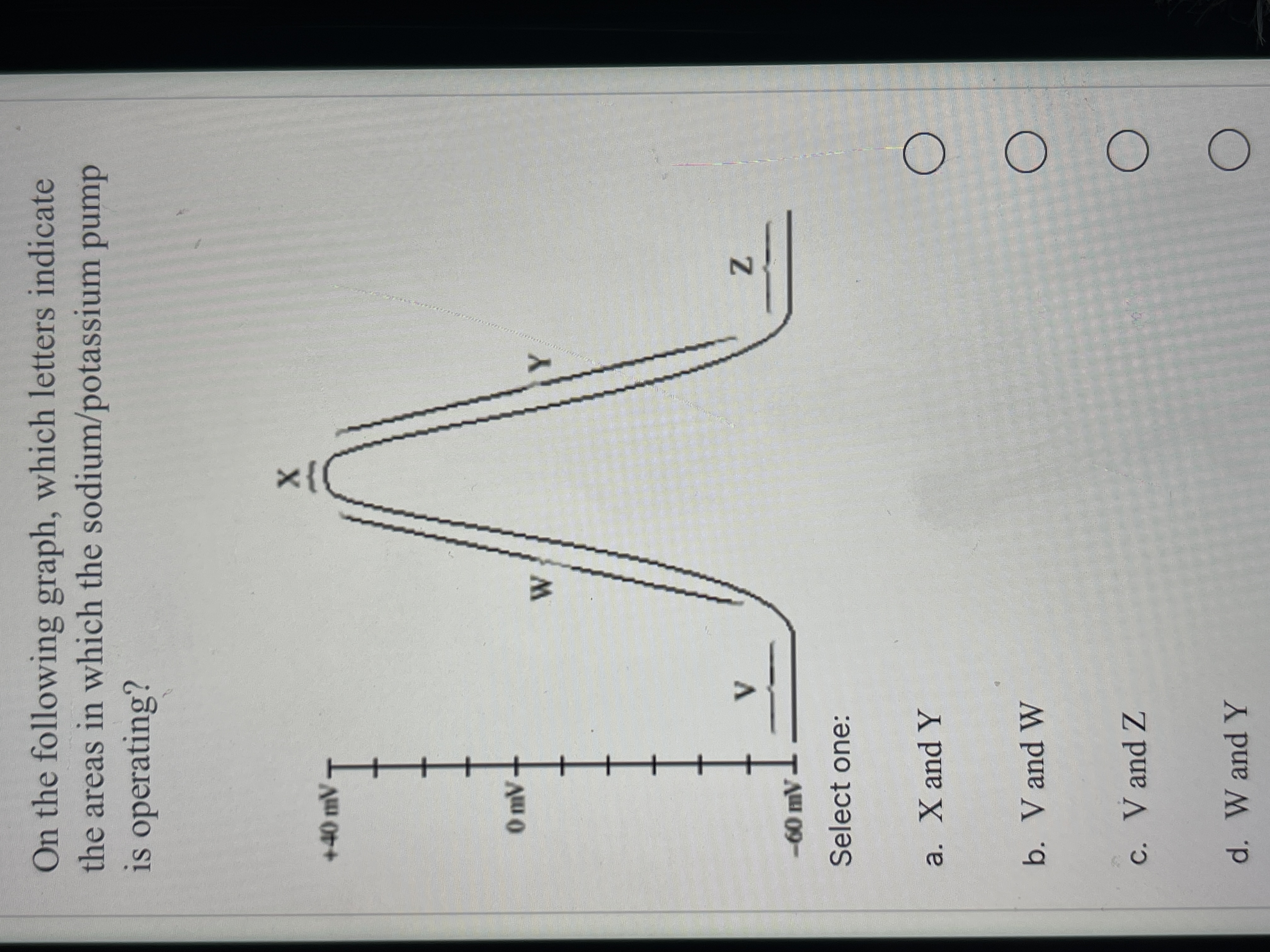 Solved On the following graph, which letters indicatethe | Chegg.com