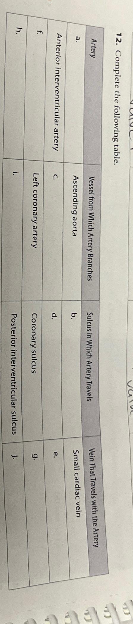 Solved Complete the following table.\table[[Artery,Vessel | Chegg.com