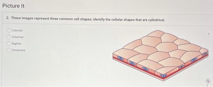 Solved Picture It 2. These images represent three common | Chegg.com