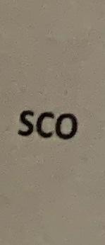Solved SCO | Chegg.com