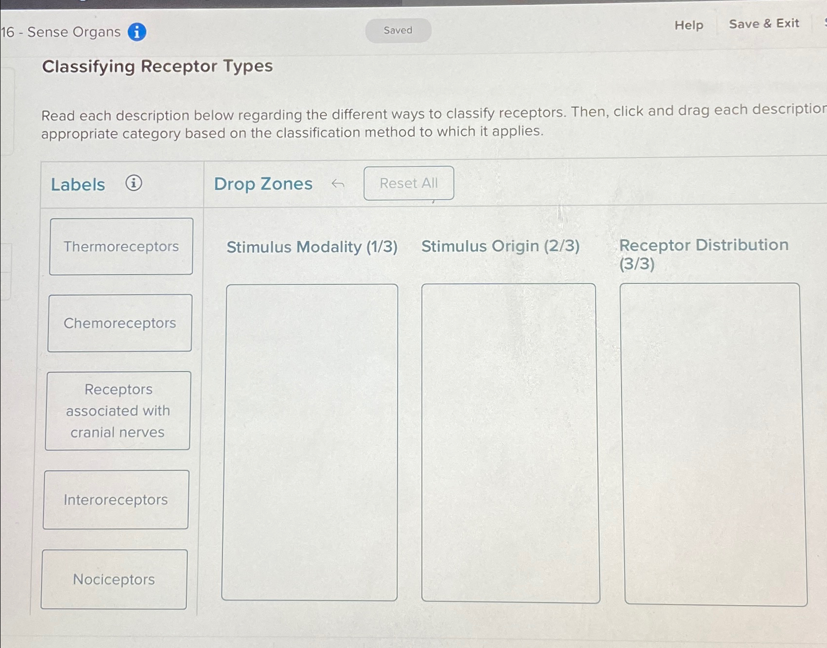Solved 16 - ﻿Sense OrgansHelpSave & ExitClassifying Receptor | Chegg.com