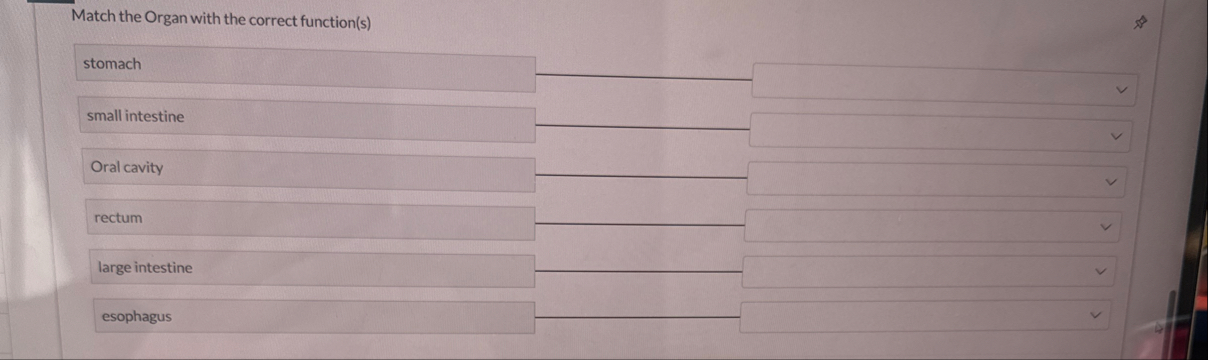 Solved Match the Organ with the correct function(s)stomach | Chegg.com