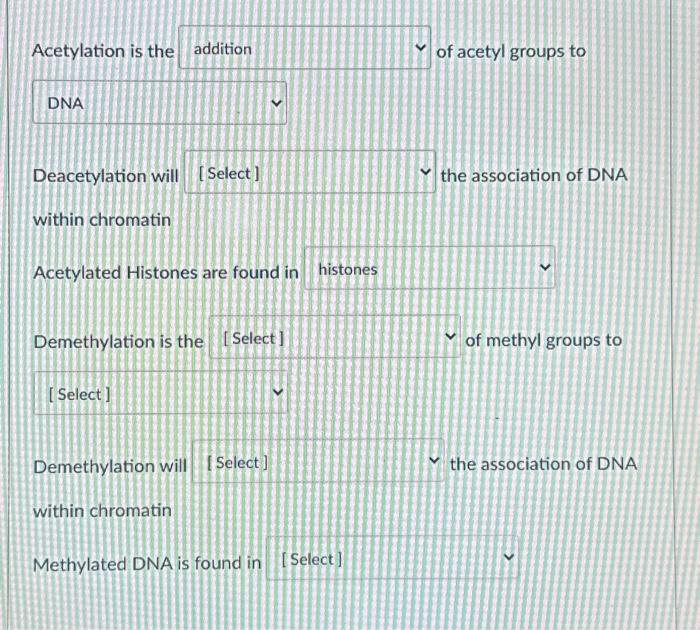 Solved Acetylation is the of acetyl groups to Deacetylation | Chegg.com