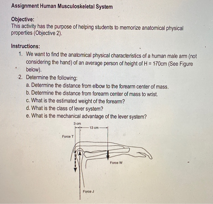 Solved Assignment Human Musculoskeletal System Objective: | Chegg.com