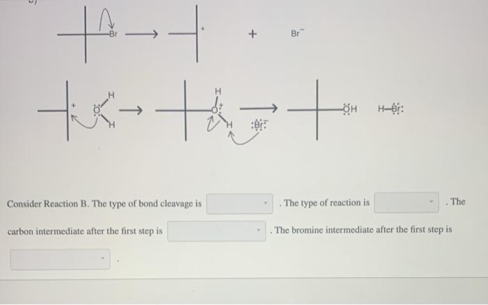 Solved For the two series of reactions shown, identify the | Chegg.com