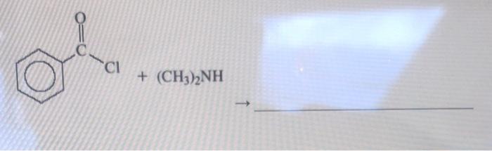 Solved +(CH3)2NH | Chegg.com