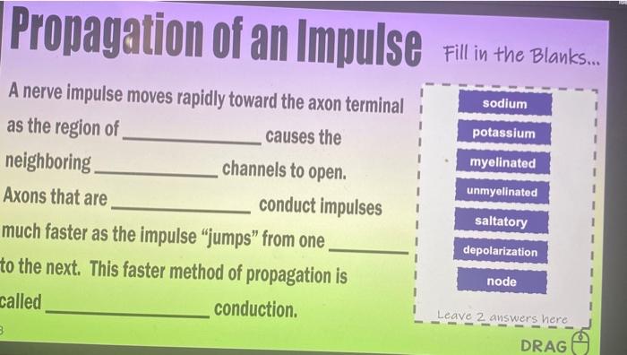 Solved Propagation of an Impulse A nerve impulse moves | Chegg.com