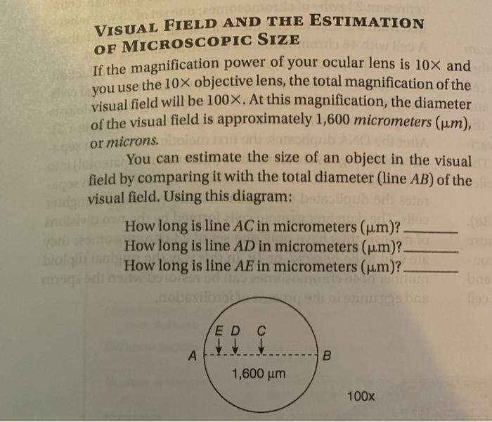 Solved The diameter of the field of vision using the 45x | Chegg.com