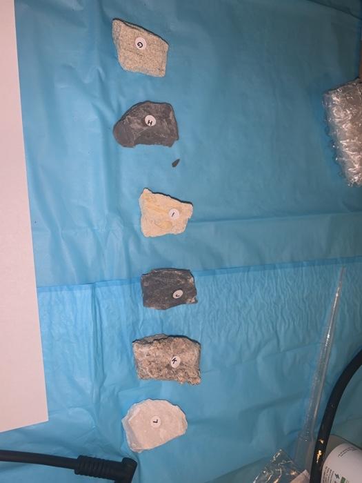 Solved Sedimentary Rocks EXERCISE 1 DATA SHEET Rock Sample | Chegg.com