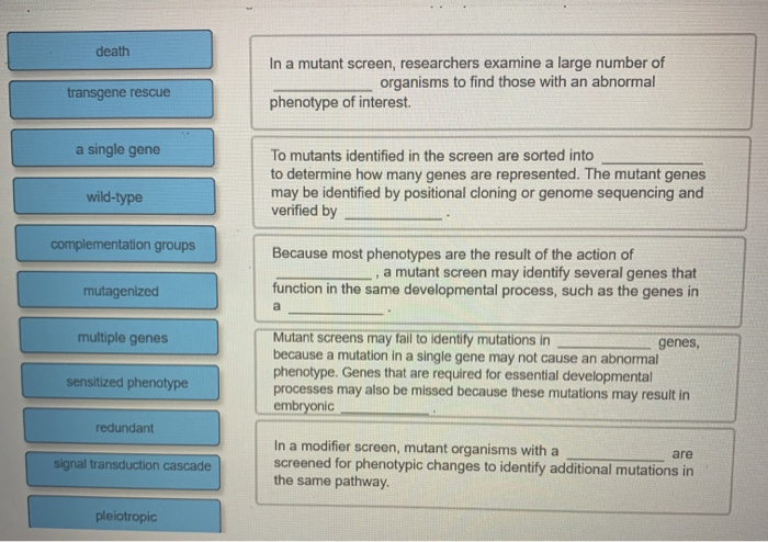 Solved death In a mutant screen, researchers examine a large | Chegg.com
