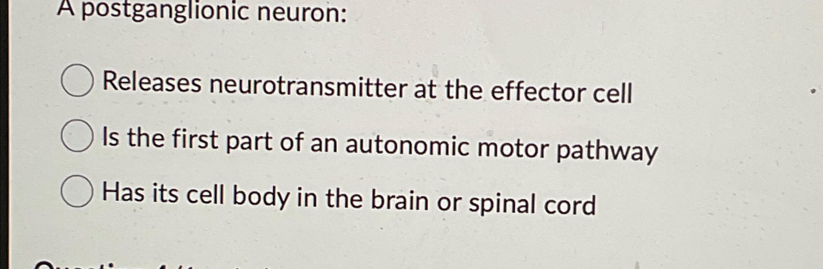 Solved A postganglionic neuron:Releases neurotransmitter at | Chegg.com