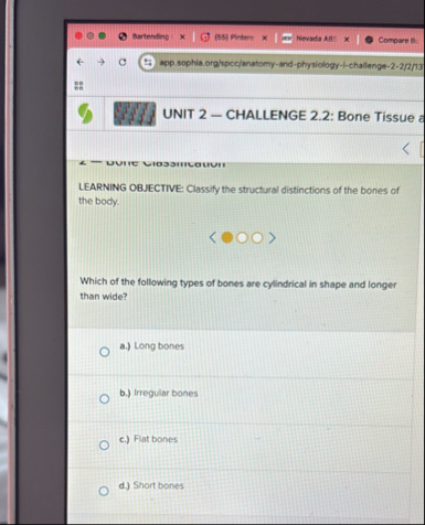 Solved Bartending(55) ﻿PirtereNevada ABSCompare B.app sophia | Chegg.com
