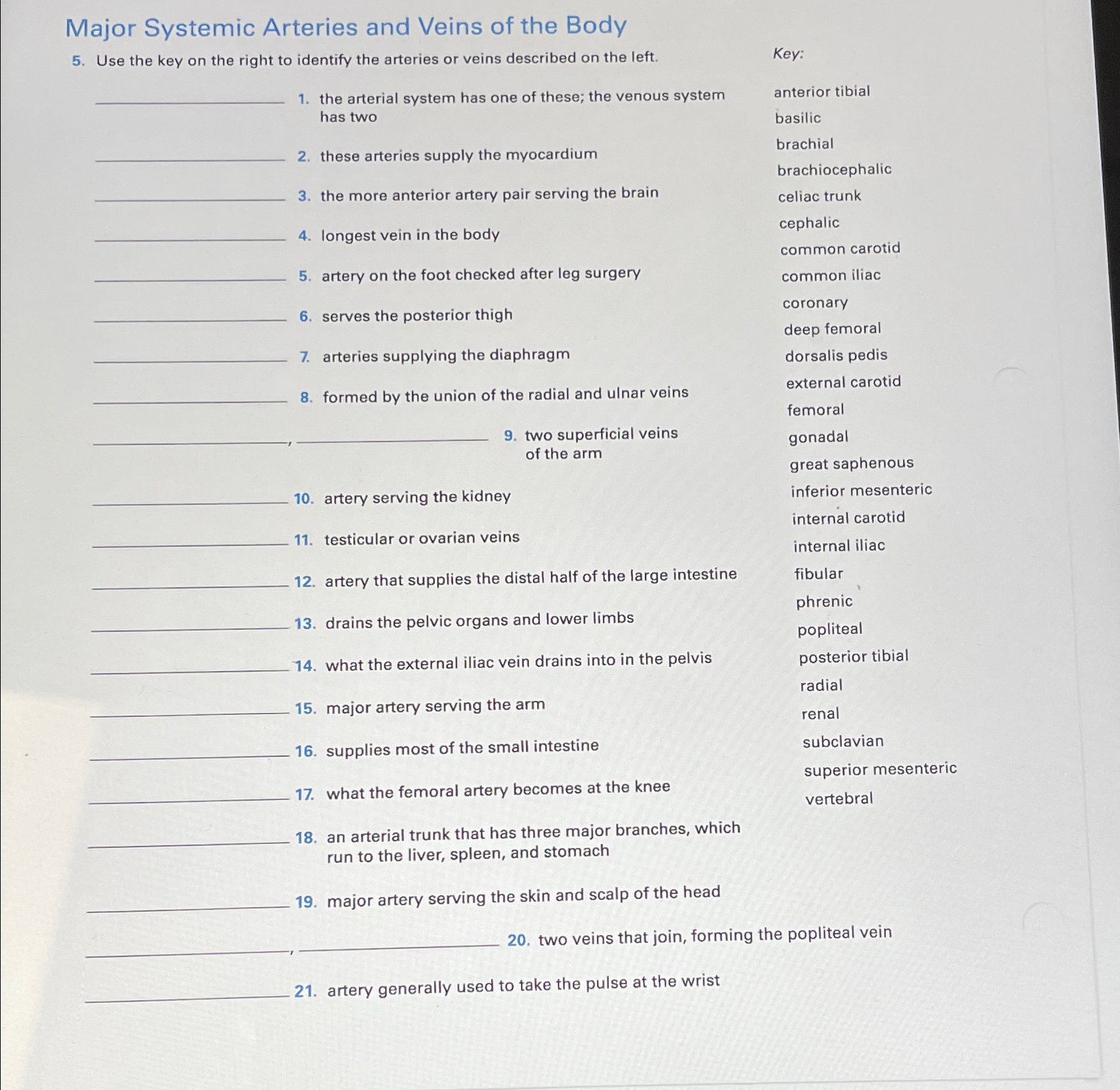 Solved Major Systemic Arteries and Veins of the Body5. ﻿Use | Chegg.com